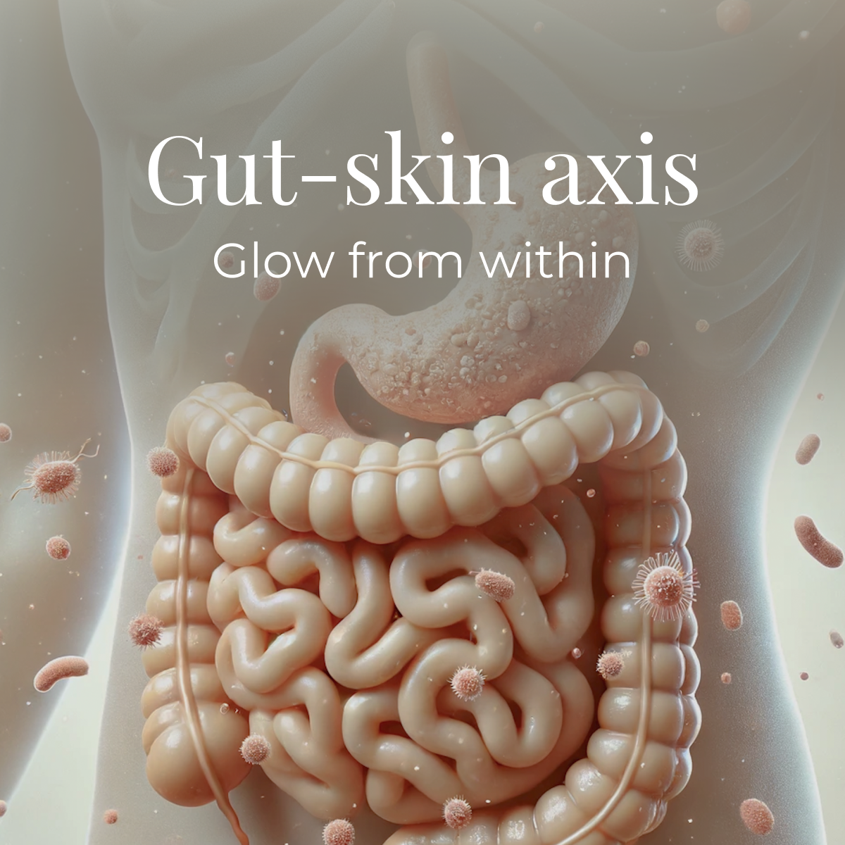 Gut-Skin Axis Connection | Nourished3 US – NOURISHED3