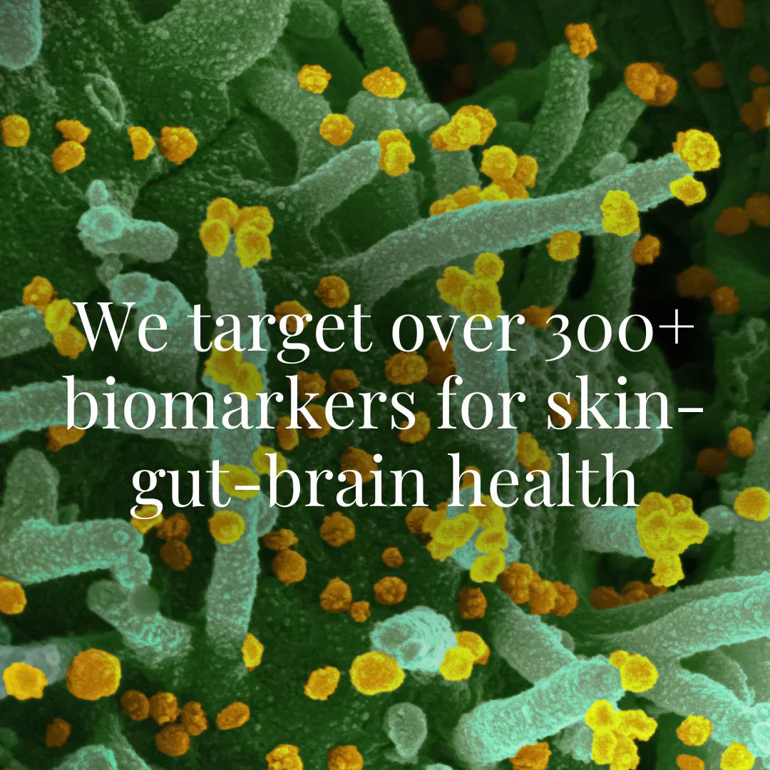 300+ Biomarkers targeted for gut, brain & skin health | Nourished3 US